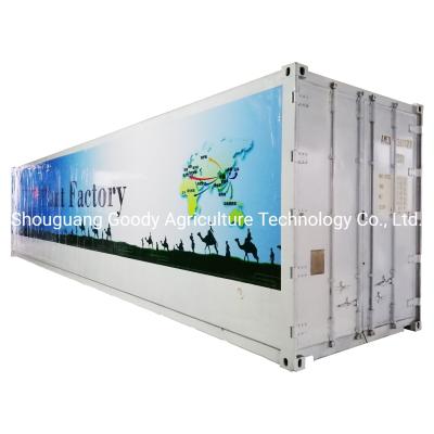 China China Factory Freight Farm Hydroponics Plant Factory in Shipping Container for sale