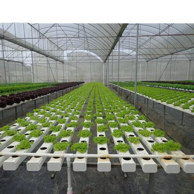 China High Yield Nft Lettuce Vertical Hydroponics Grow System with Automatic Irrigation System for sale