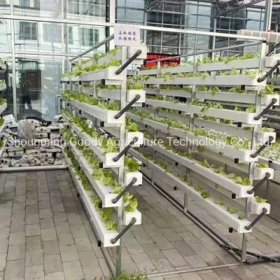 China Automated Greenhouse Vertical Hydroponics Grow System for Tomatoes/ Peppers/ Cucumber for sale