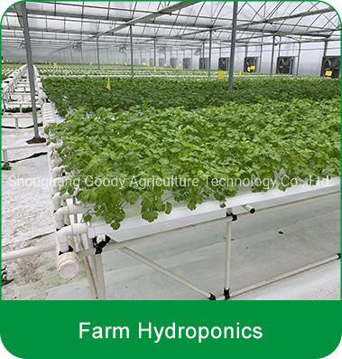 China Agriculture Container Farm Hydroponics for Sale Hydroponics System PVC Hydroponic Growing System Agricultural Protective Plastic for sale