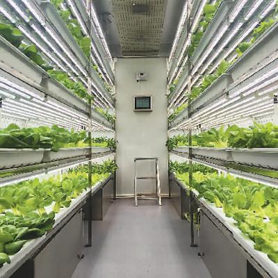 China Water and Fertilizer and Nutrient and Electricity Intelligent Control Plant Factory Mobile Greenhouse Container for Sale for sale