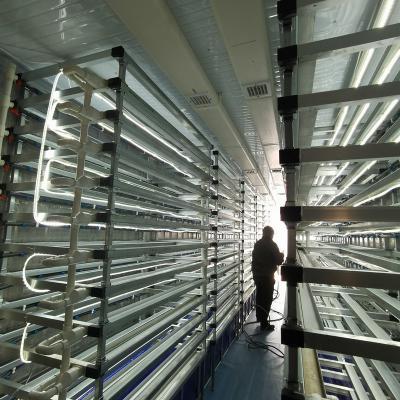 China Container Farm Complete Hydroponic Plant System for Vegetables Forage for sale