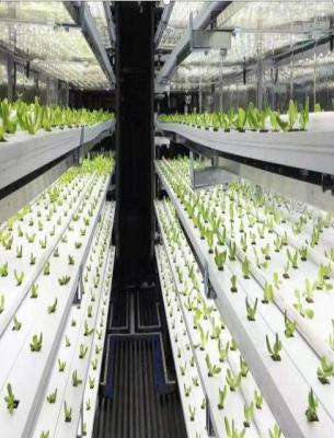 China 40FT Movable Nft Hydroponic Grow System Intelligent Container Plant Factory for Urban Agriculture and Planting Farm for sale