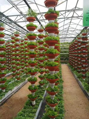 China Agricultural Commercial Nft Lettuce Cultivation Hydroponics System for Film Green House for sale