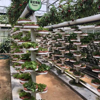 China Greenhouse Vertical Hydroponics Grow System for Tomatoes/ Peppers/ Cucumber for sale