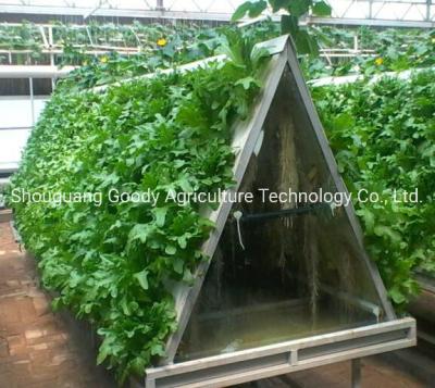 China High-Yield, Fully-Automatic New Tower Type Aerosol Cultivation and Hydroponic Cultivation of Lettuce, Potato, Tomato, Potato, etc. for sale
