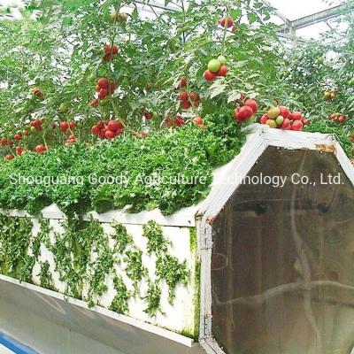 China Soilless Cultivation Nft Hydroponics System New Tower Type Aerosol Cultivation for sale