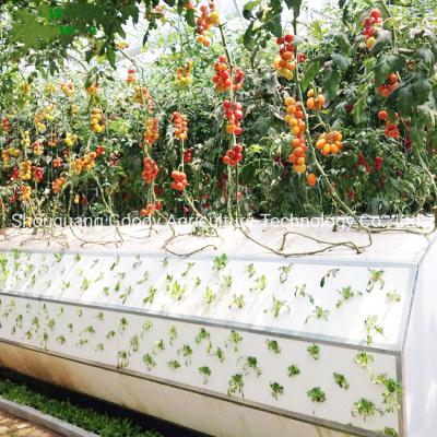 China High-Yield, Fully-Automatic New Tower Type Aerosol Cultivation and Soilless Cultivation/Hydroponics System of Lettuce, Potato, Tomato, Potato, etc. for sale