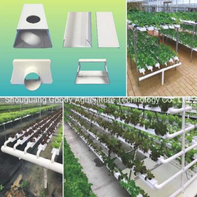 China Nft Hydroponics PVC Channel for Hydroponic System for sale