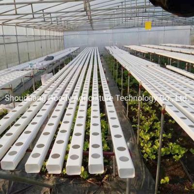 China Multi Layer Growing Hydroponic System with Intelligent Controller for sale