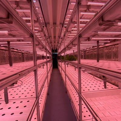 China Soilless Cultivation Equipment Plant Factory Hydroponic Container Farm for sale