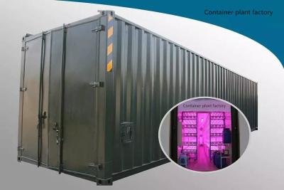 China 40hq Freezer Shipping Container Farm Hydroponic Green Efficient Growth Plant Container Factory Fully Automated Control System for sale