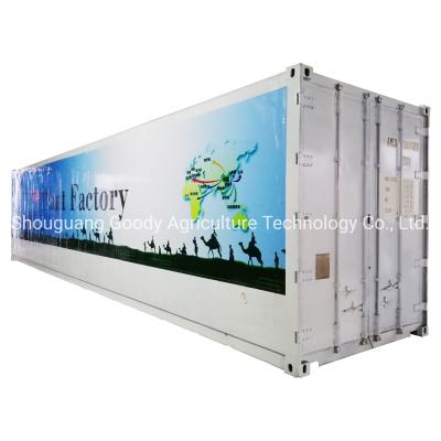 China Hydroponic Vertical Plant Factory 40FT Container Greenhouse for Agriculture LED Plant Growing System for sale