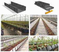 China Plastic PP Hydroponic Grow Trough System for Tomatoes for sale