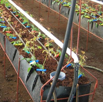 China Plastic Hydroponic Grow Trough Tomatoes Gutter System for sale