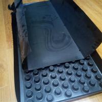 China Tomato Rose Cucumber PP Growing Trough System Hydroponics Growing for Greenhouse for sale