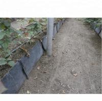 China Tomato Rose Cucumber PP Growing Trough System Hydroponics Growing for Greenhouse for sale