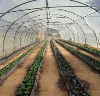 China Soiless Growing Trough Hydroponic PP Roll Tomatoes System for sale