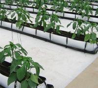 China Soiless Growing Trough Hydroponic PP Roll Tomatoes System for sale