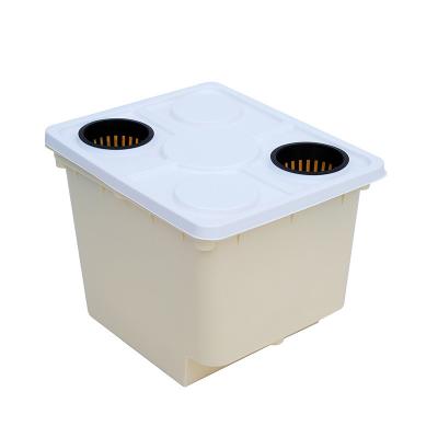 China Hydroponic Dutch Bucket Growing System Bato Dutch Bucket Planting System for Vine Vegetables Planting in Greenhouse for sale