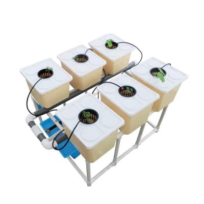 China Modern Design Chile Market Plastic Hydroponics Dutch Bucket or Bato Bucket System for Greenhouse Commercial Individual Balcony for sale