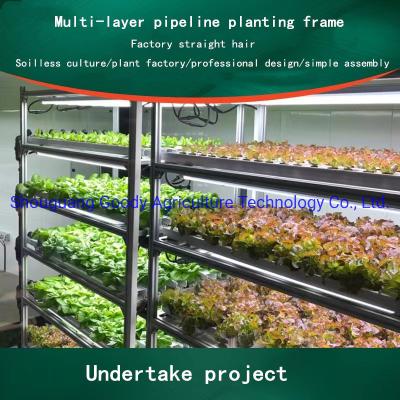 China Multi-Layer Planting Rack for Hydroponic Pipeline Supports Customization. for sale
