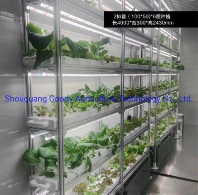 China Multi Layer Hydroponic Grow Rack Pipeline Planting Rack for sale