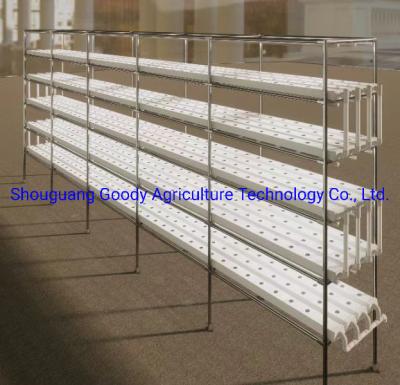 China Indoor Vertical Hydroponics System Pipeline Planting Rack Customization for sale
