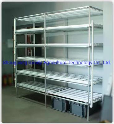 China Artificial Indoor Hydroponic Plant Rack Indoor Customization for sale