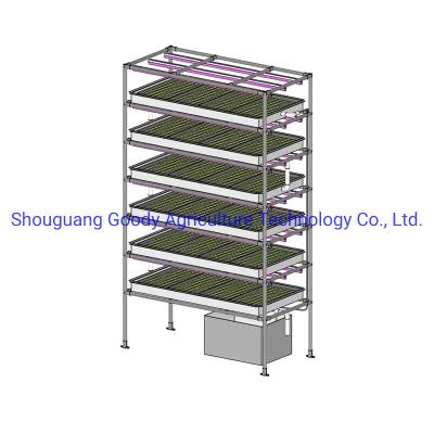 China Best-Selling Indoor Hydroponic System, Vertical Growth Rack for sale
