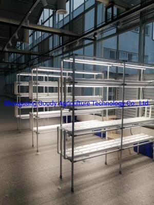 China Customized Vertical Hydroponics System Nft Vegetable Planting Farm  Indoor for sale