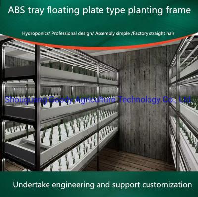 China Soilless Cultivation Vertical Hydroponics System Multi Layer Water Bed Planting Rack for sale
