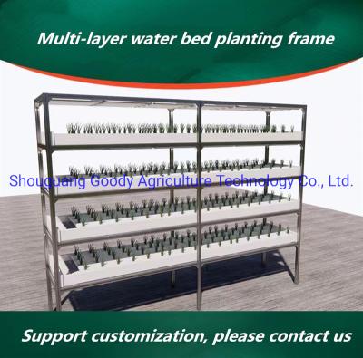 China Melons And Fruits Multi Layer  Indoor Plant Growing System rack for sale