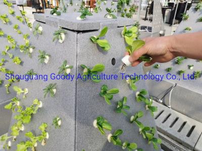 China 2022 New Aerosol Cultivation, Aeroponic Tower and Hydroponics Are Applied to Grow All Kinds of Vegetables in Greenhouse/Outdoor for sale