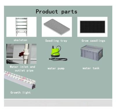 China Hydroponics for Growing System Greenhouse Vegetables Tomatoes Garden House for Modern Agriculture for sale