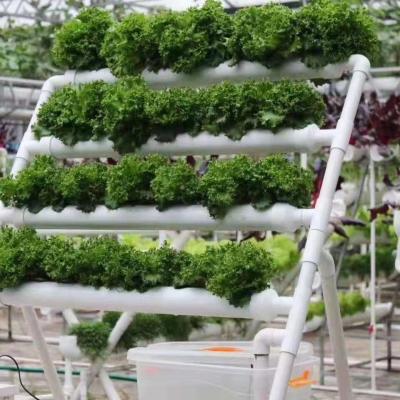 China Greenhouse Vertical Hydroponics System for Indoor  Plannting Vegetables for sale