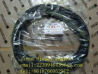 China jichai JDEC JINAN diesel engine co,ltd chidong diesel engine parts H16V190ZLT2-2 GAS GENERATOR for sale
