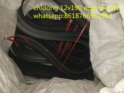 China jichai JDEC JINAN diesel engine co,ltd chidong diesel engine parts H16V190ZLT2-2 GAS GENERATOR for sale