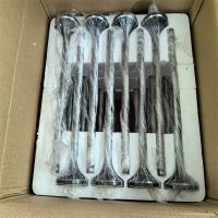 China Inlet valve 12VB.03.37A Seat, inlet valve 12VB.03.80.05 Exhaust valve	12VB.03.22 of jinan chidong G12V190PZL PZ12V190engine for sale