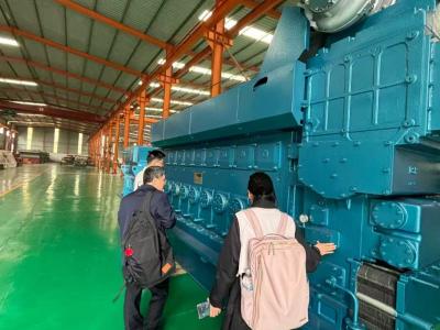 China zichai 8300 gas generator spark plug S-R807BEX21-2 original parts fatcory manufacturer for sale