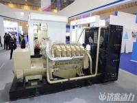 China BL12V190ZL1 CNPC JICHAI drilling engine in Iran with the 1FC6 566-6&DSE8610 for sale