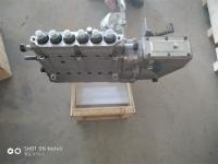 China Fuel pump BH6Z140ZT BH6Z140ZP  used in Jichai G12V190PZL diesel engine Jinan diesel engine for sale