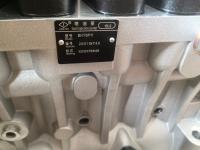 China Injection Pump BHT8P170LY	for Jichai 8190 engine C8190 208L.12P.00 for sale