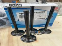 China Nozzle 830F.02 used in Weichai R6170ZC350-1 diesel engine parts for sale