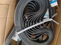 China 1003784055	Fan clutch belt Weichai Baudouin 16M33 Diesel Generator Spare Parts for sale
