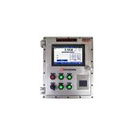 China 6000e Explosion Proof Weighing Floor  Scales 800 × 480 Display 250mm for sale
