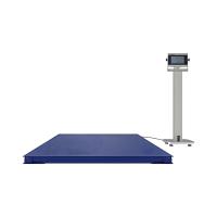 China Shock Resistance Floor Scale 3000KG Goods Heavy Duty Platform Weighing Scale for sale