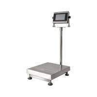 China High Precision LBC  Platform Scale Warehouse Logistics  Large Floor Scale for sale