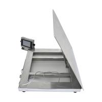 China IP67 Floor Scale Cargo Weighing Flexible Lifting Waterproof Platform Scale Weighing Machine for sale