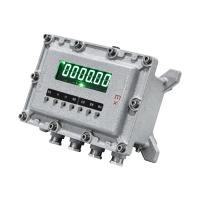 China LM231EX Explosion‑proof Indicator With 24‑bit Σ‑Δ ADC & Ex‑d Housing. Works With Explosion Proof Scales, Modbus‑RTU Supported For Chemical Pharma Hazardous‑area Weighing. for sale